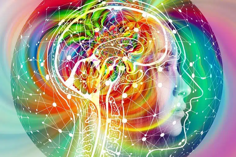 The fascinating (and sometimes useless) world of brain science – Three ...